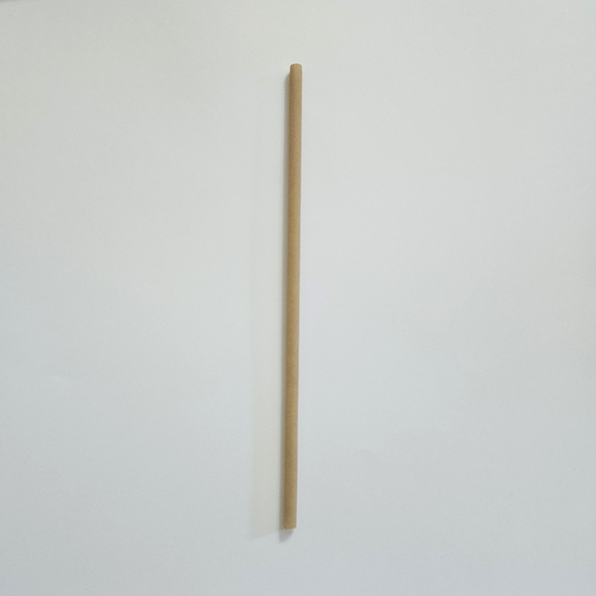 Eco Straws – 100% Biodegradable & Sustainable Alternative – Evolve ...