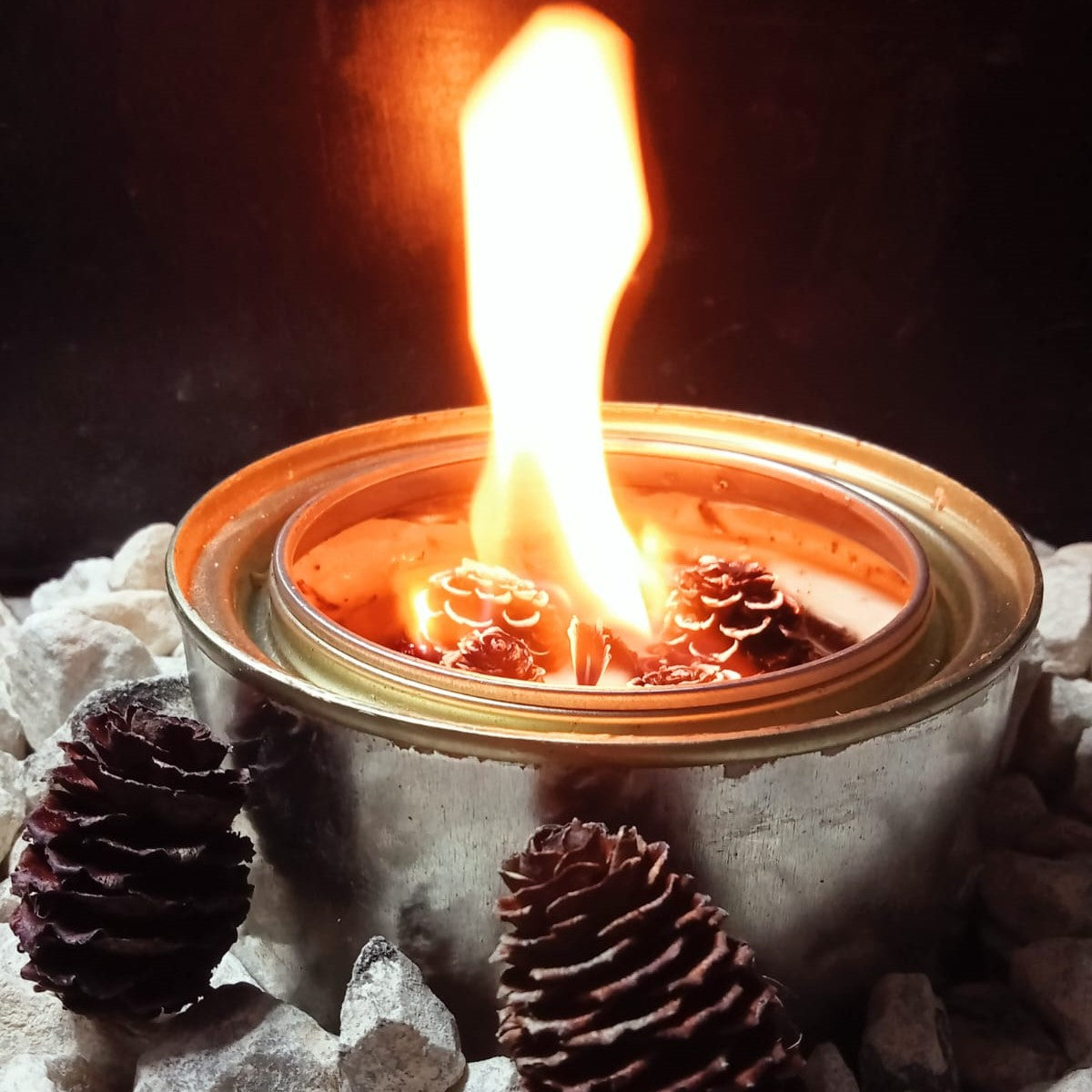 Buy Fire on the Go Cans – Evolve Biodegradable